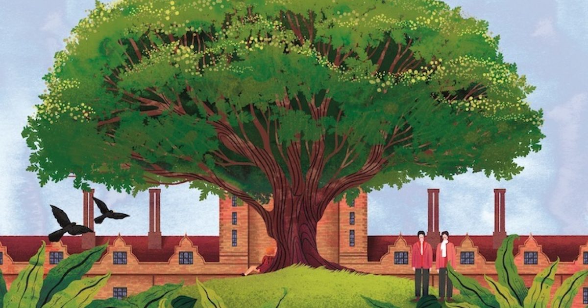 The Great British Tree Biography By Mark Hooper | Quintessentially